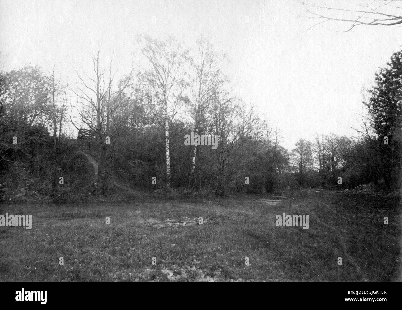 Slottsruin Brömsehus. Here are ruins after the Danish bracket, which ...