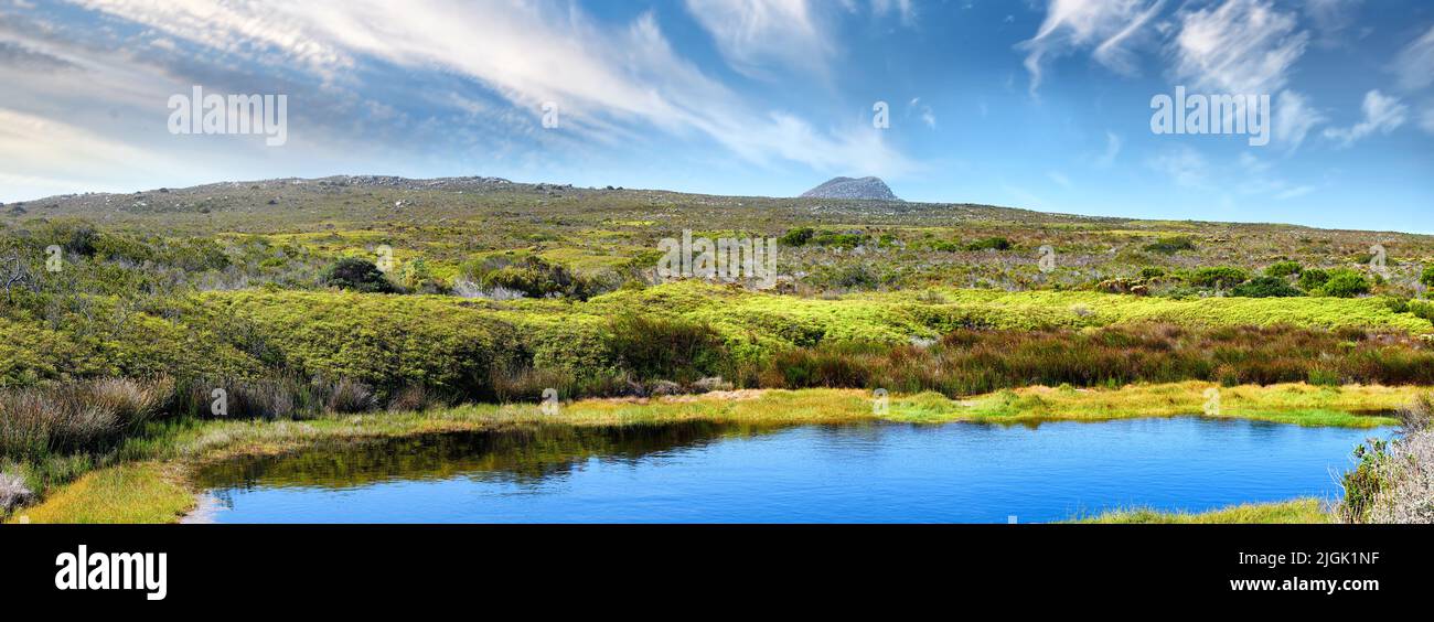 The wilderness of Cape Point National Park. The wilderness of Cape ...