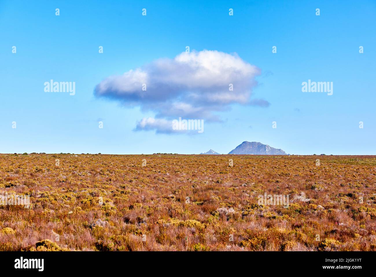 The wilderness of Cape Point National Park. The wilderness of Cape ...