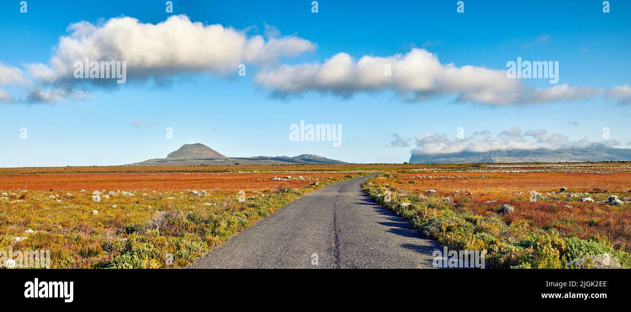 The wilderness of Cape Point National Park. Road through the wilderness ...