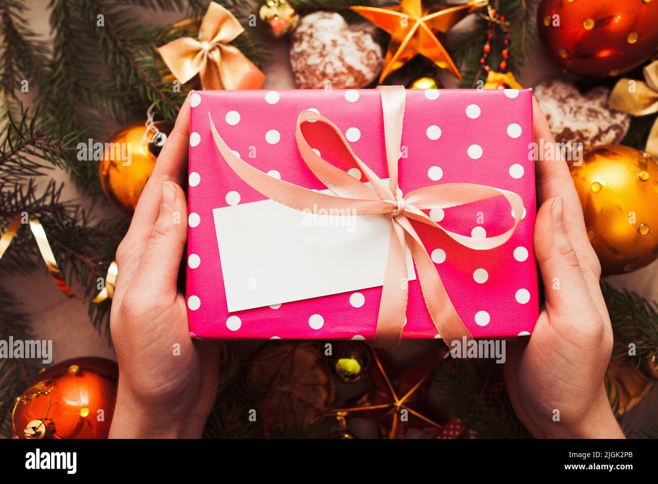 Hands put gift under Christmas tree, blank card Stock Photo - Alamy