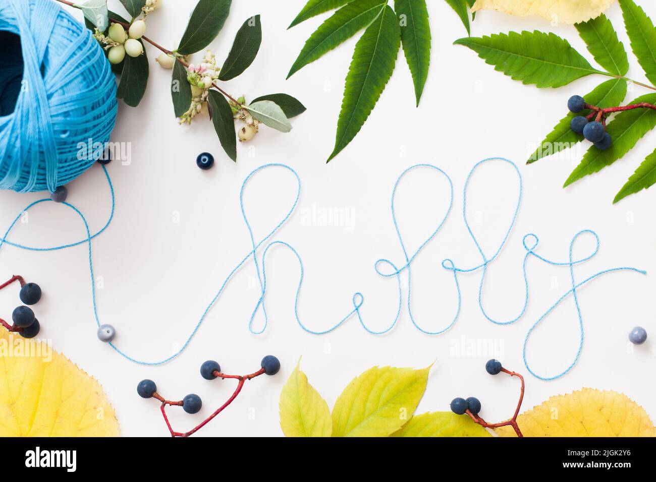 Knitting thread word hobby in leaves frame Stock Photo - Alamy