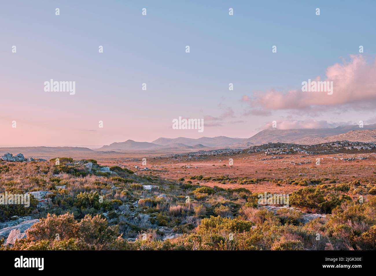 The wilderness of Cape Point National Park. The wilderness of Cape ...