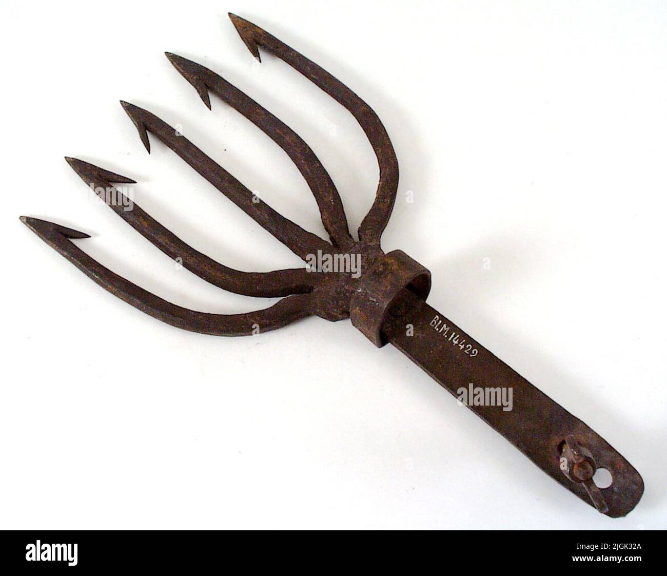 Nut catch hi-res stock photography and images - Alamy