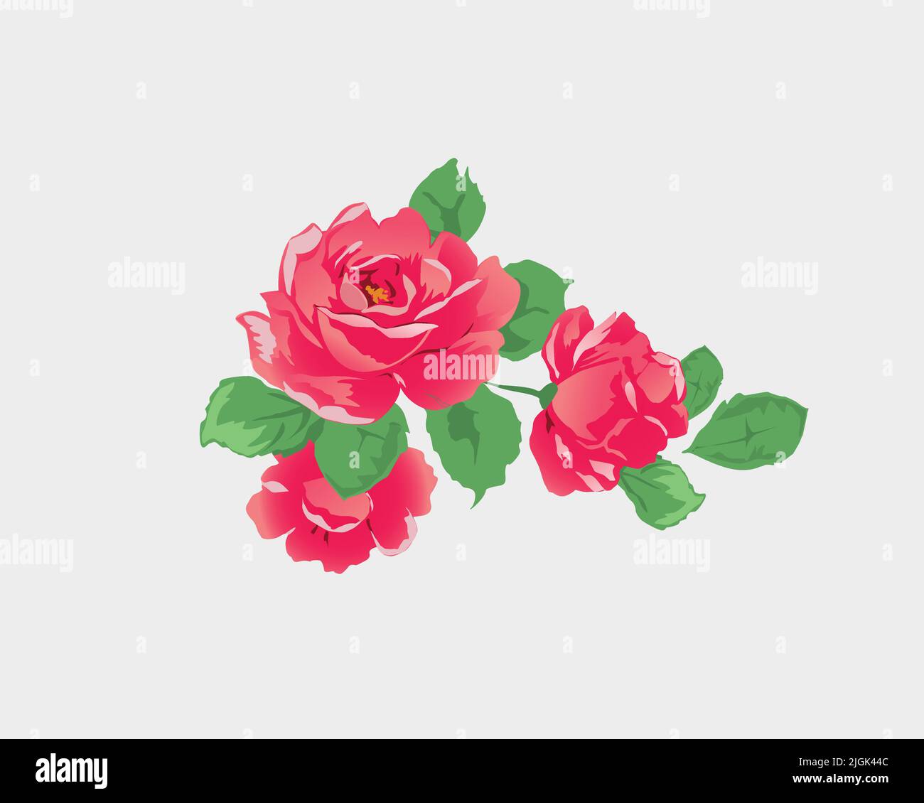 Admiration and joy roses Stock Vector Images - Alamy