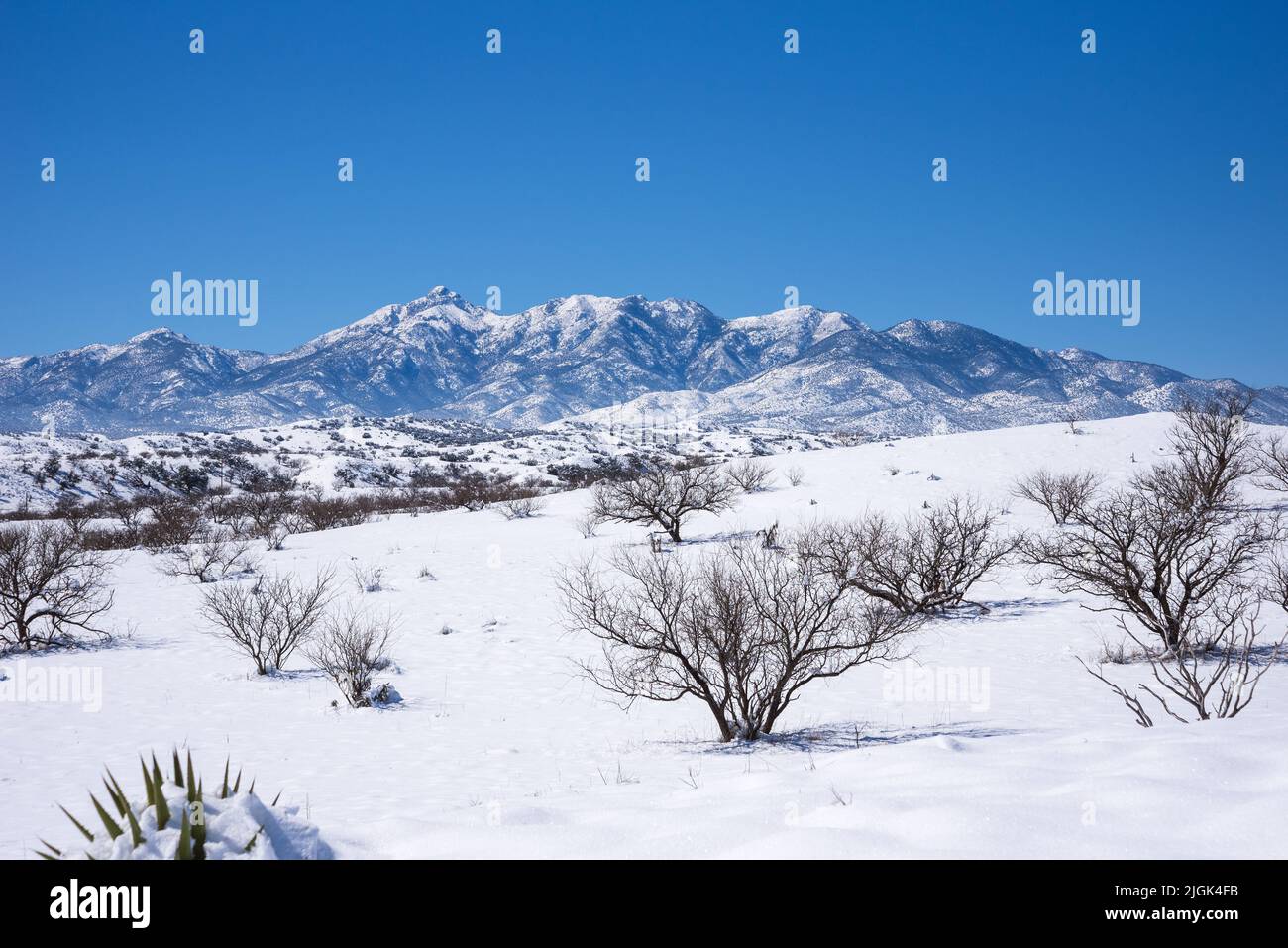 Snow covers the grasslands and the Santa Rita Mountains in February ...