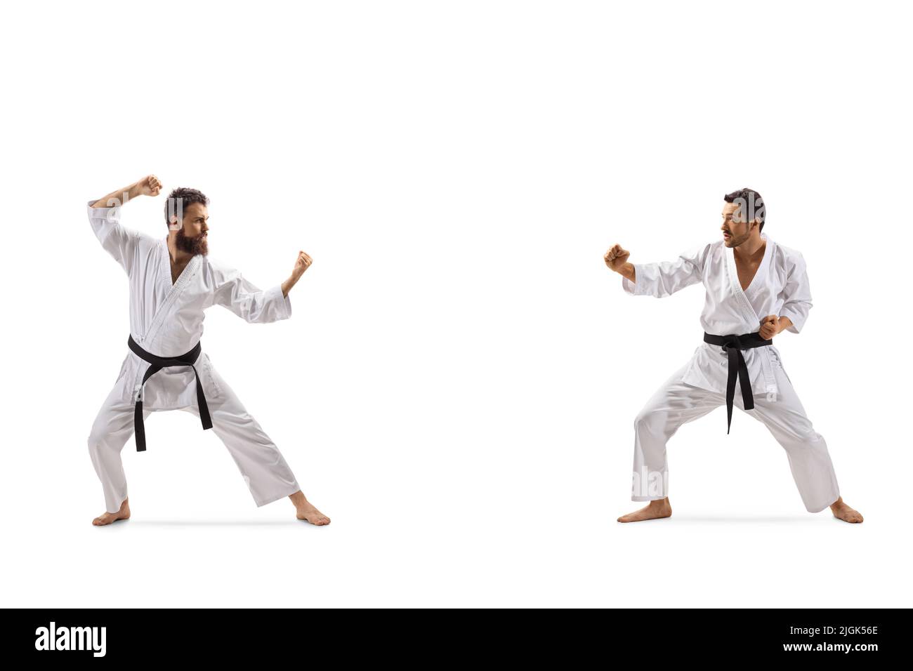 Profile shot of two men training karate combat isolated on white ...