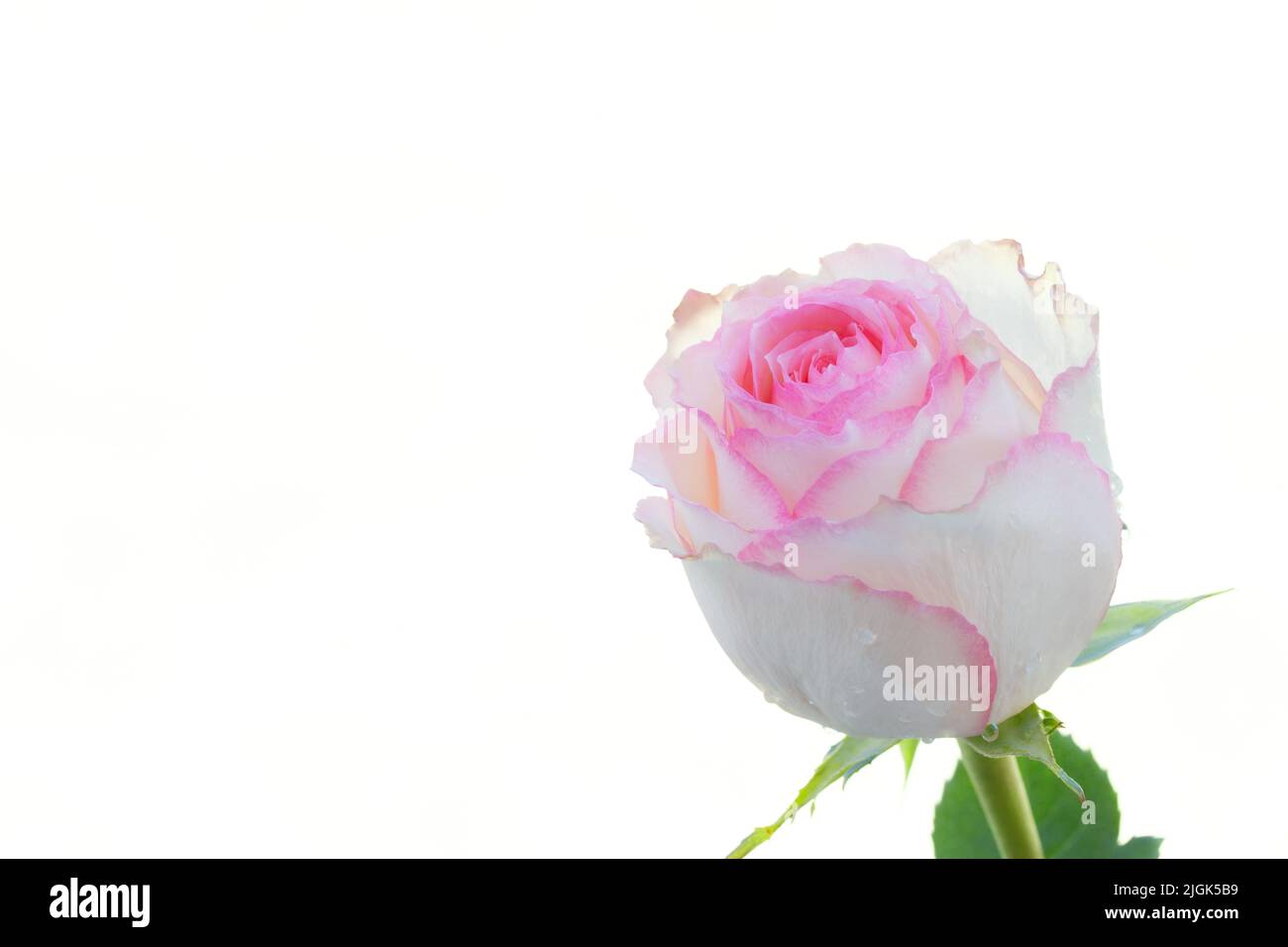 Soft summer filter hi-res stock photography and images - Alamy