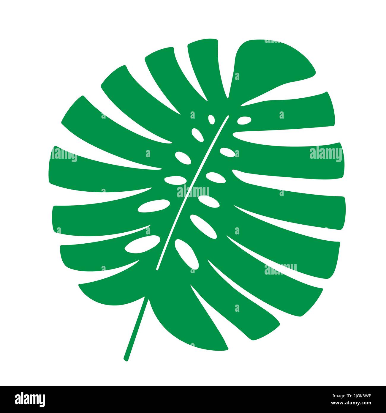 Tropical leaf vector illustration on white background Stock Vector Image & Art - Alamy