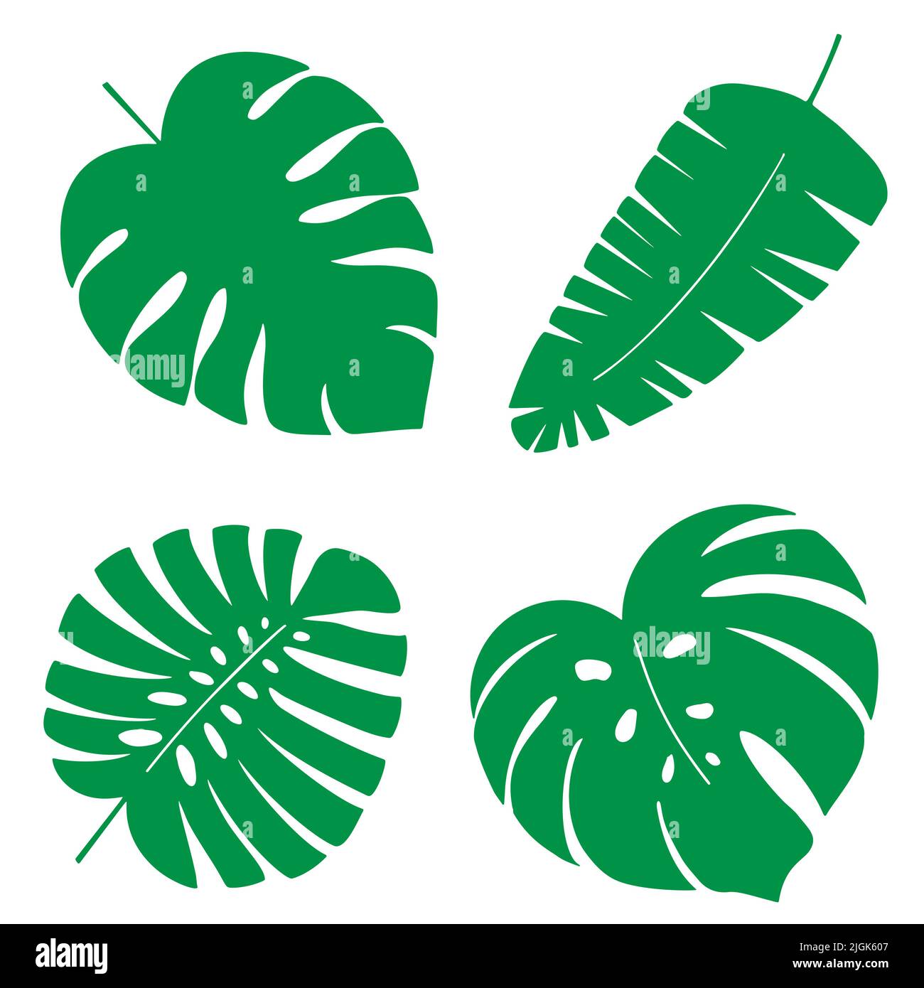 Tropical leaves vector collection on the white background Stock Vector ...