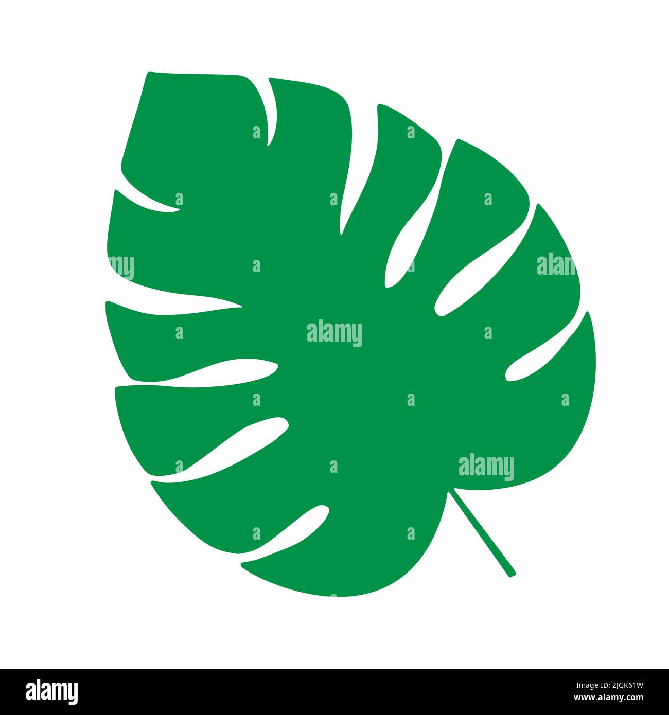 Tropical leaf vector illustration on white background Stock Vector ...