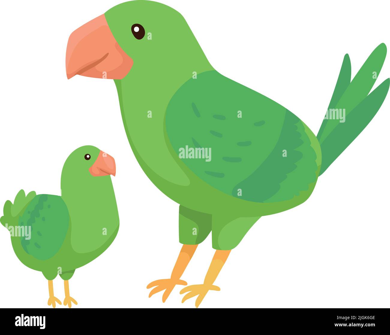 Baby parrot and mother hi-res stock photography and images - Alamy
