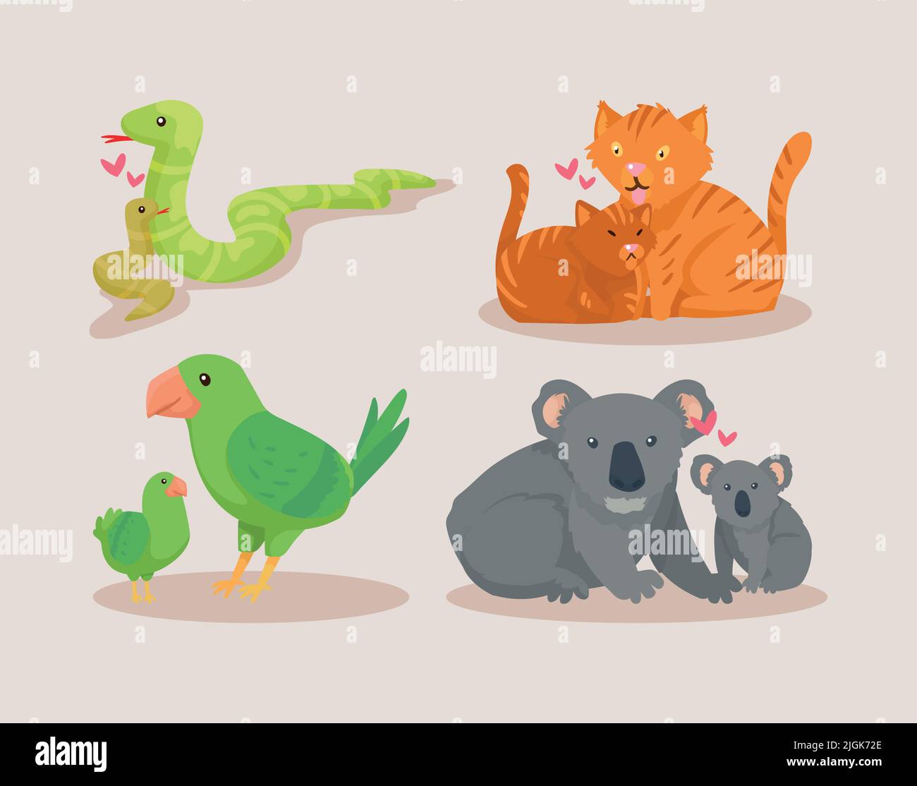 four animals families Stock Vector Image & Art - Alamy
