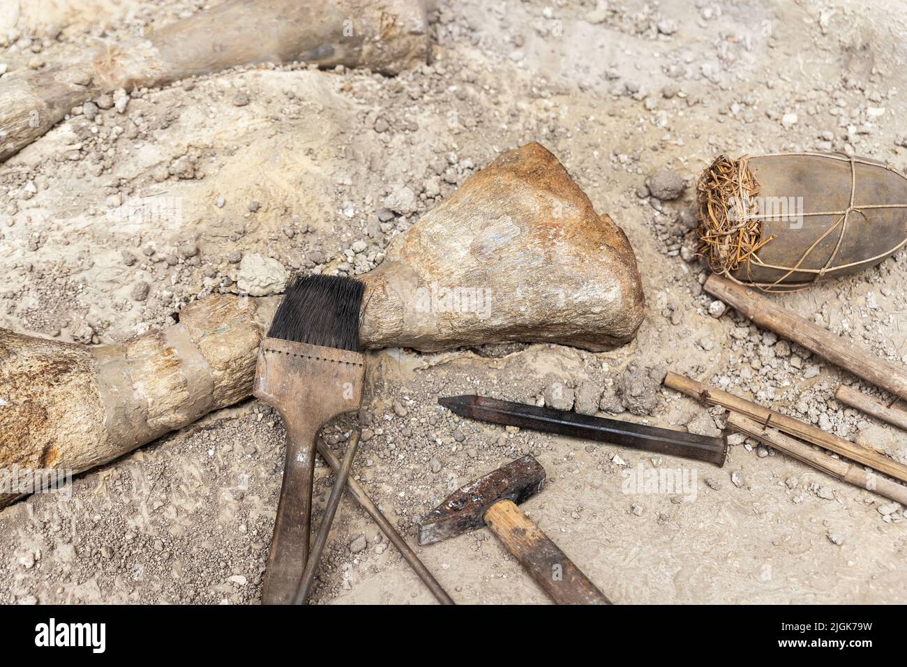 Paleontology tools hi-res stock photography and images - Alamy