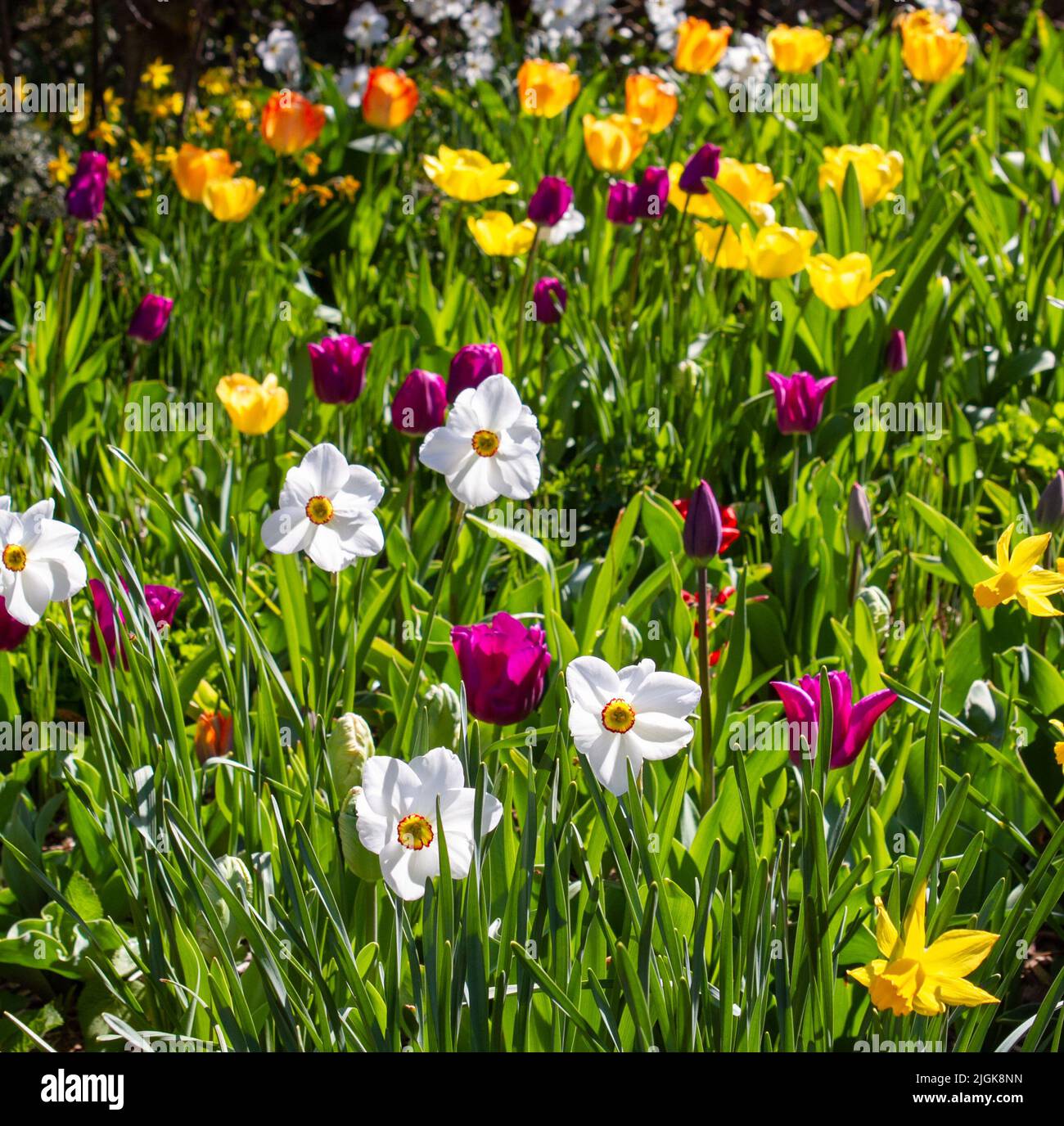 New york central park spring aerial hi-res stock photography and images ...