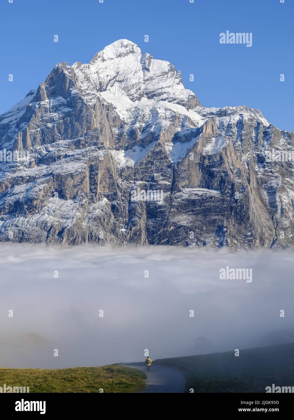 Grindelwald, Switzerland. Landscape in the highlands in the summertime ...