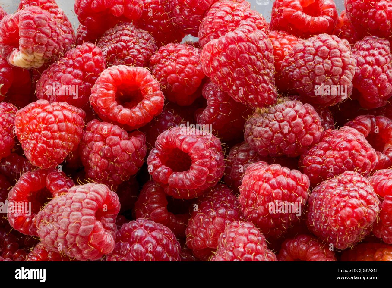 Background from red raspberry berries Stock Photo - Alamy