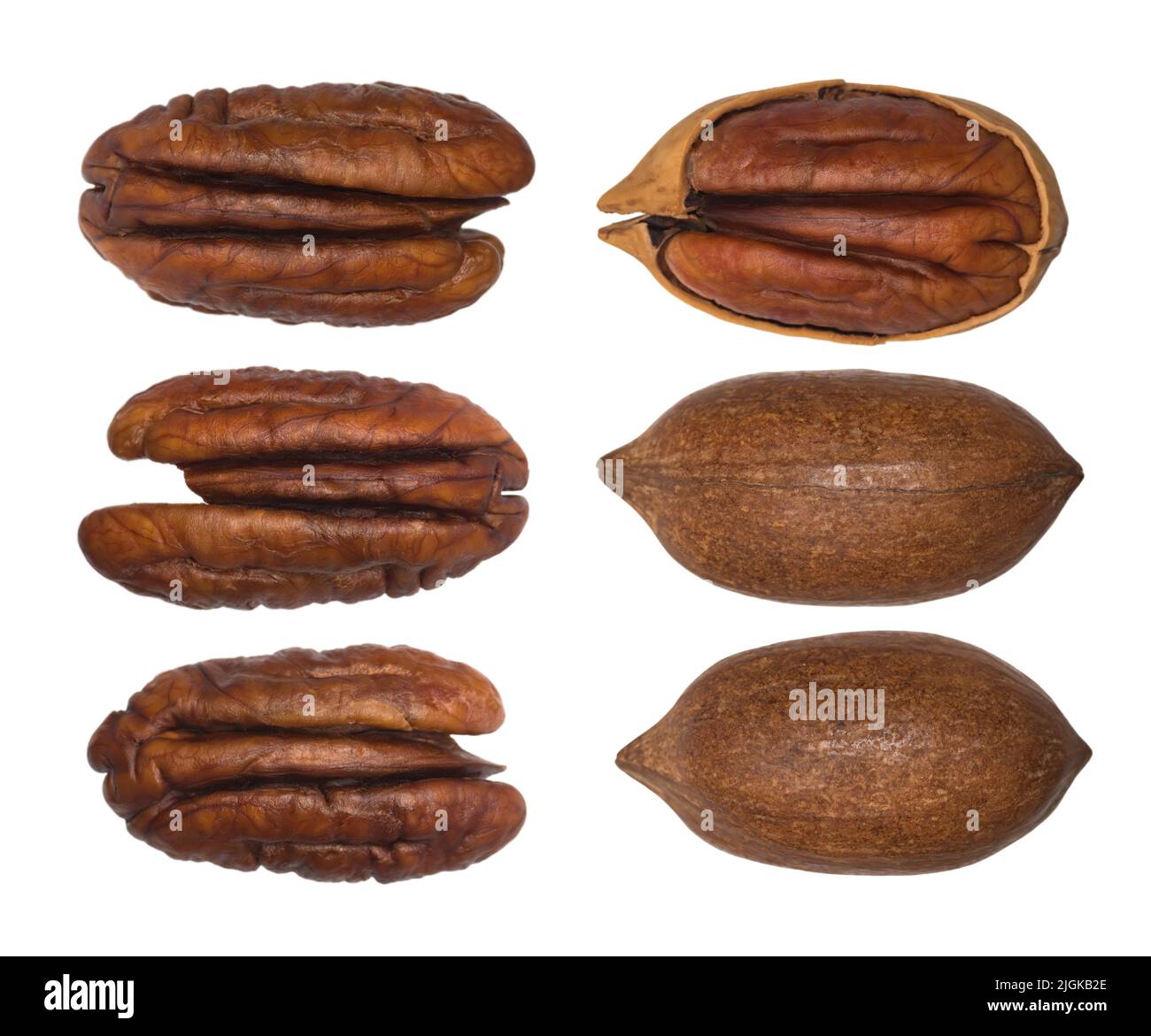 Pecan isolated on white background. View from multiple angles Stock ...