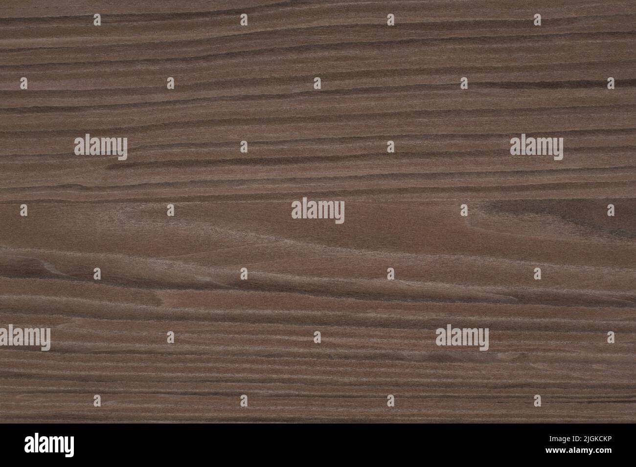 Walnut american 5 wood panel texture pattern Stock Photo - Alamy