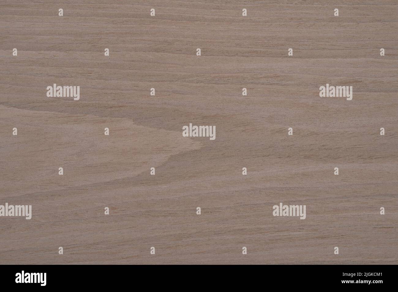 Walnut tree wood texture hi-res stock photography and images - Alamy