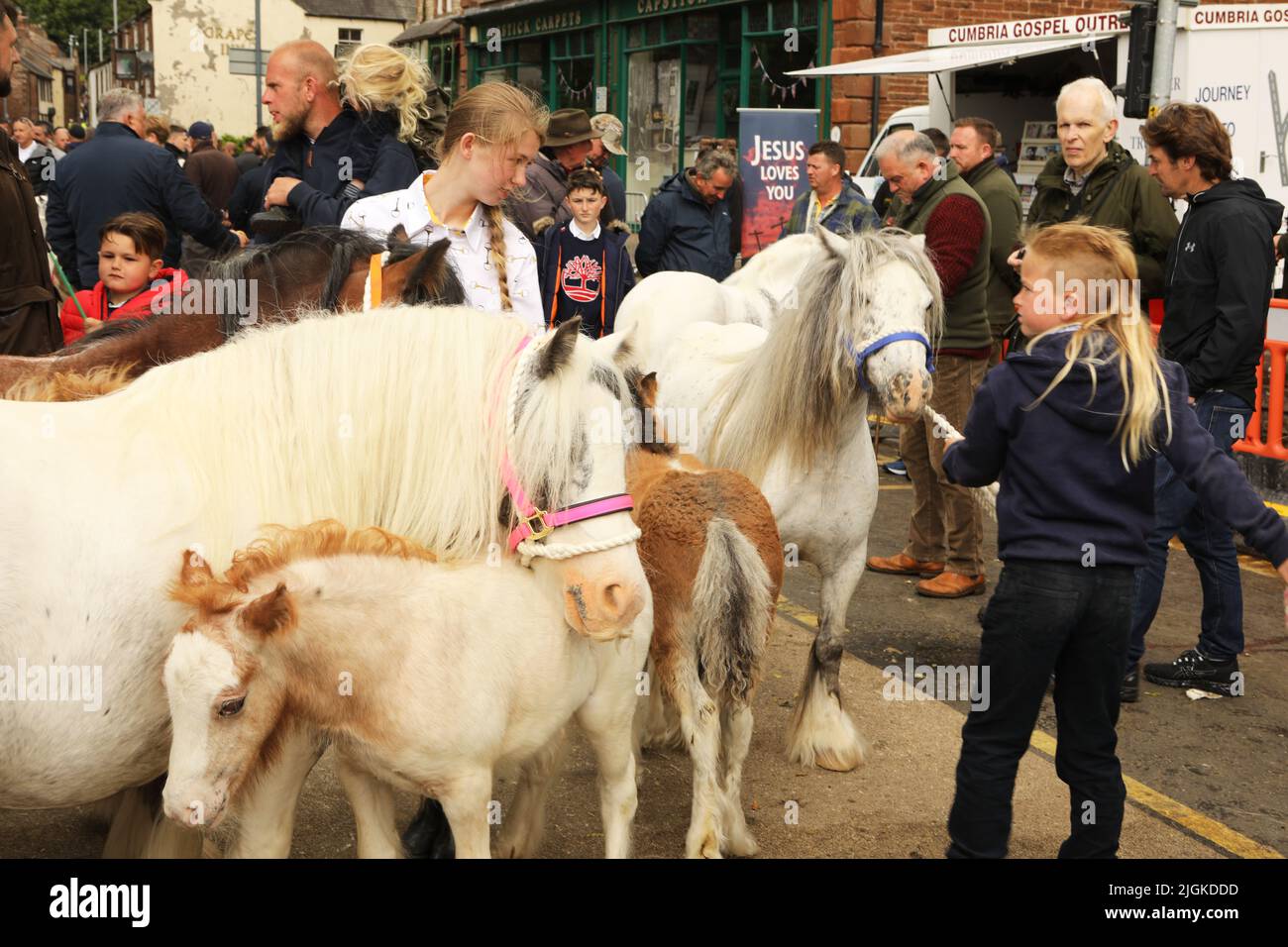 A young traveller brother and sister with their mares and foals ...