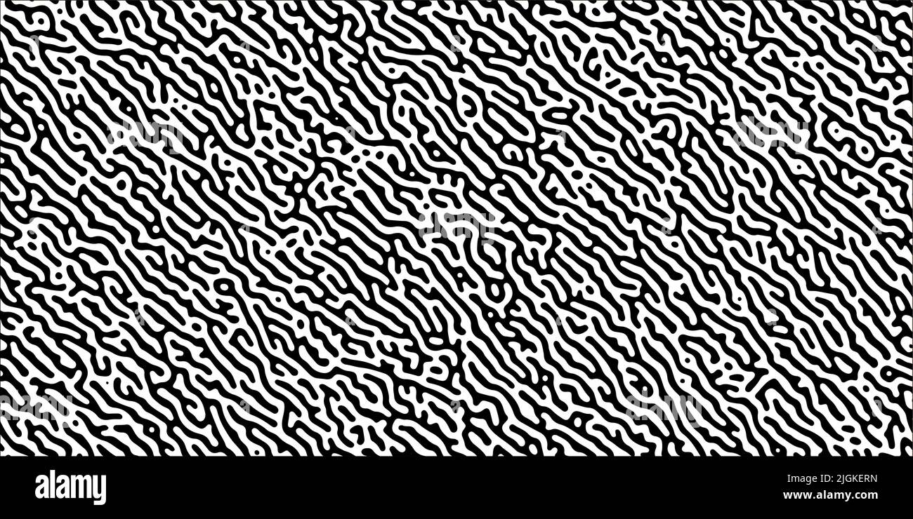 Turing reaction diffusion black and white seamless pattern with chaotic motion. Natural ...