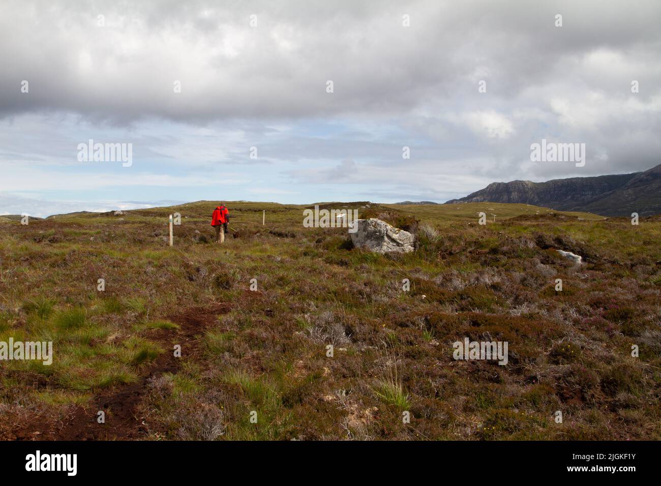 Bogland, Loch Druidibeg National Nature Reserve Stock Photo - Alamy