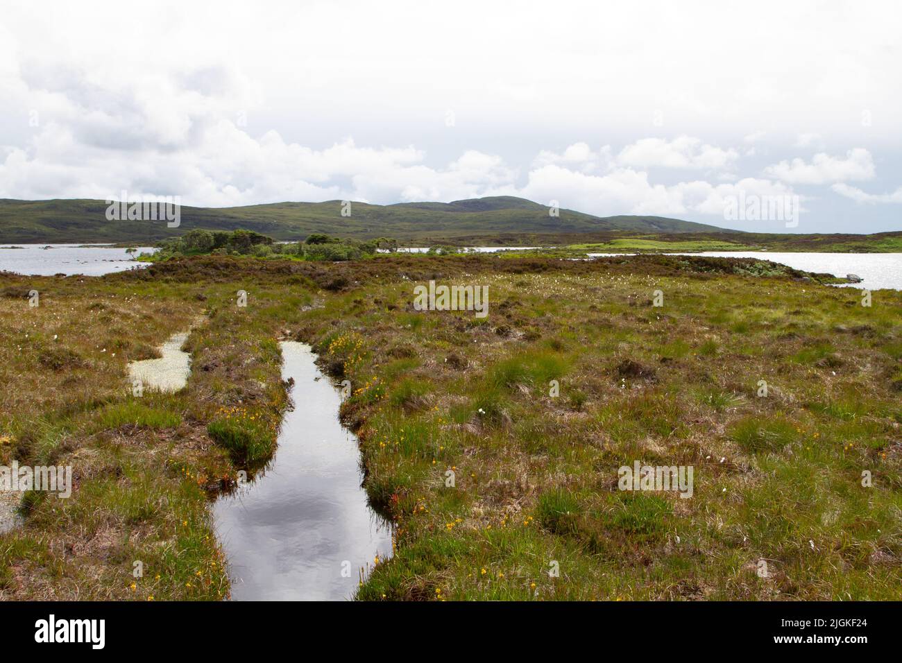 Bogland, Loch Druidibeg National Nature Reserve Stock Photo - Alamy