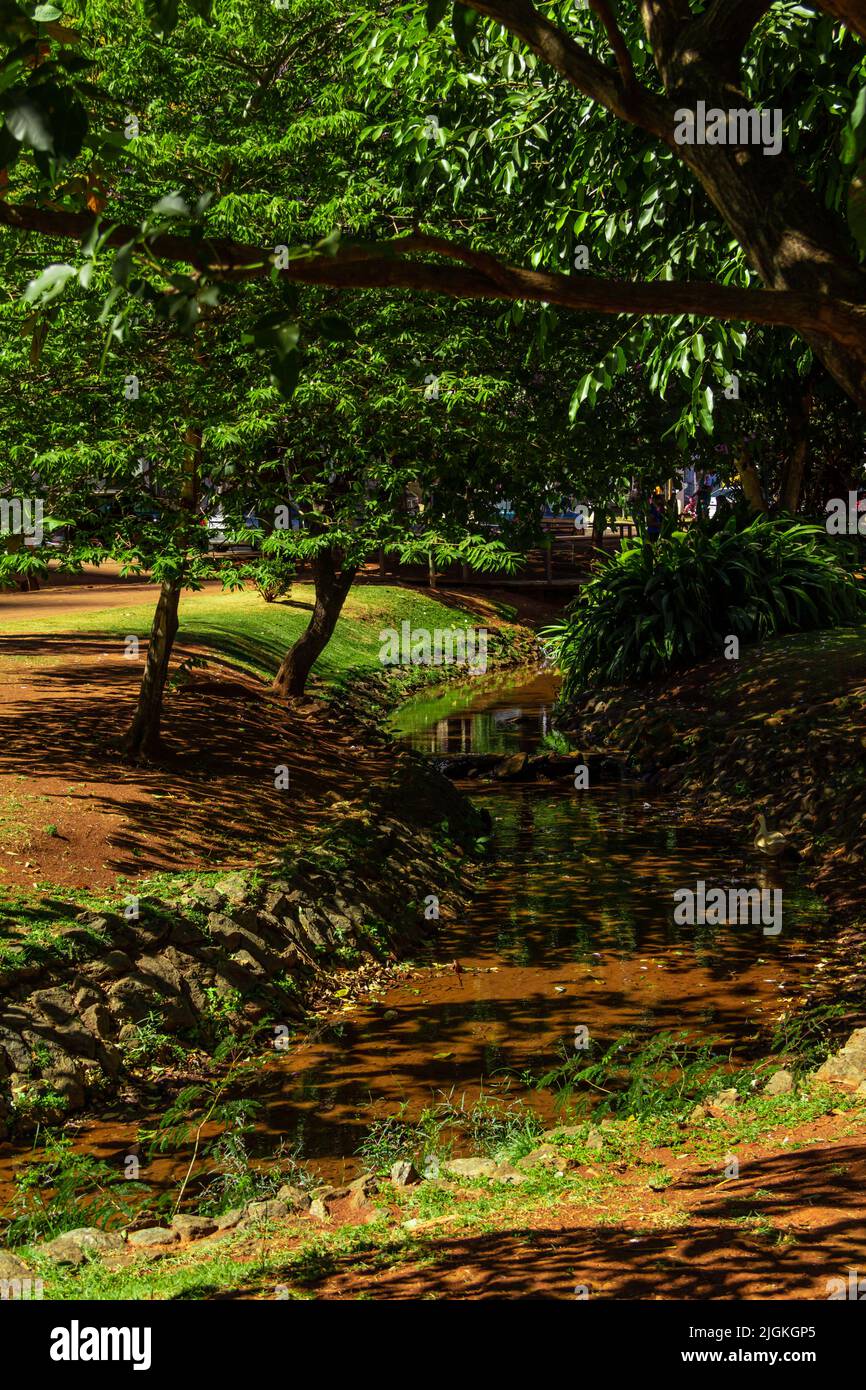 Anápolis, Goiás, Brazil – July 10, 2022: Details of a watercourse in ...