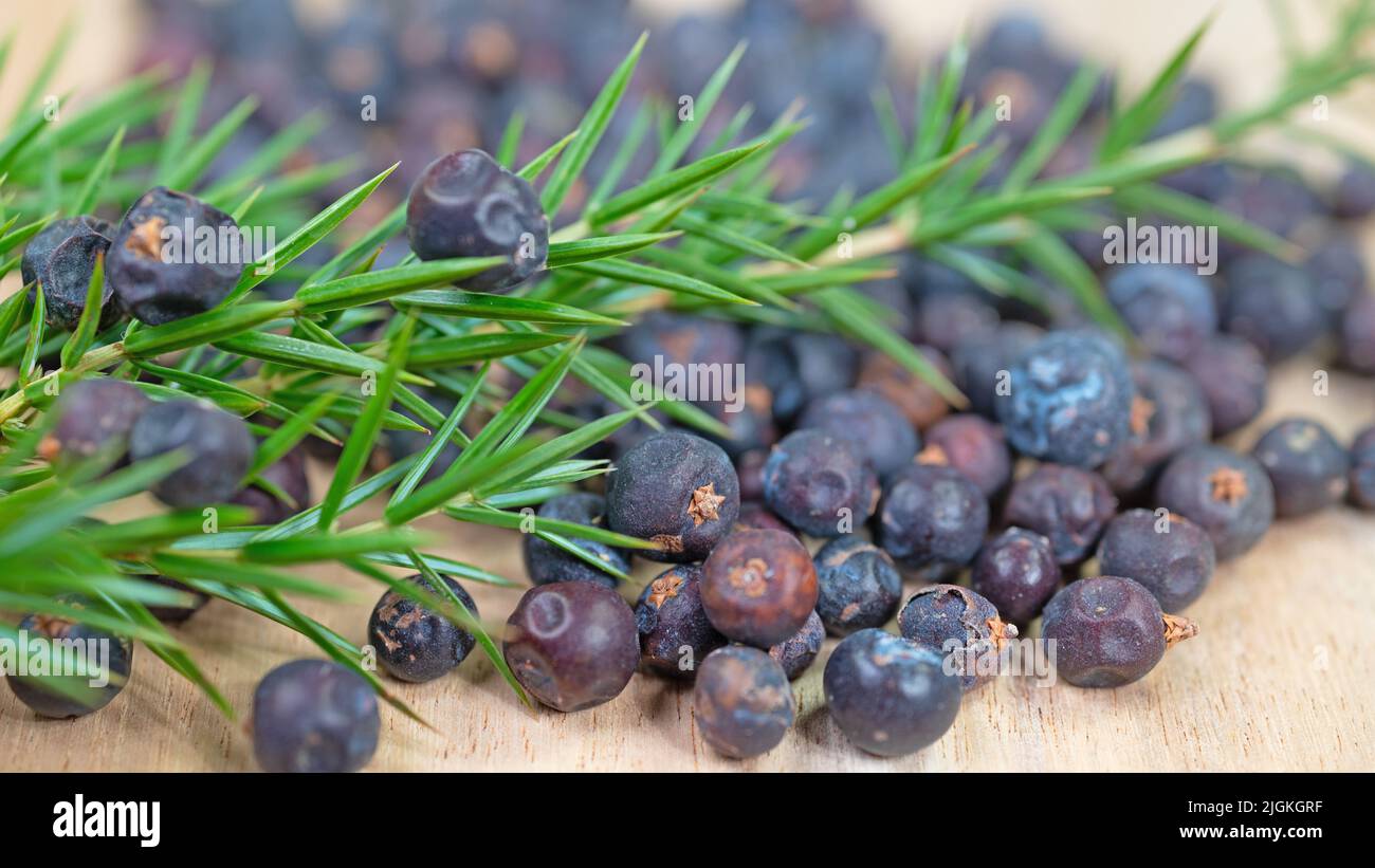 Juniper dried hi-res stock photography and images - Alamy