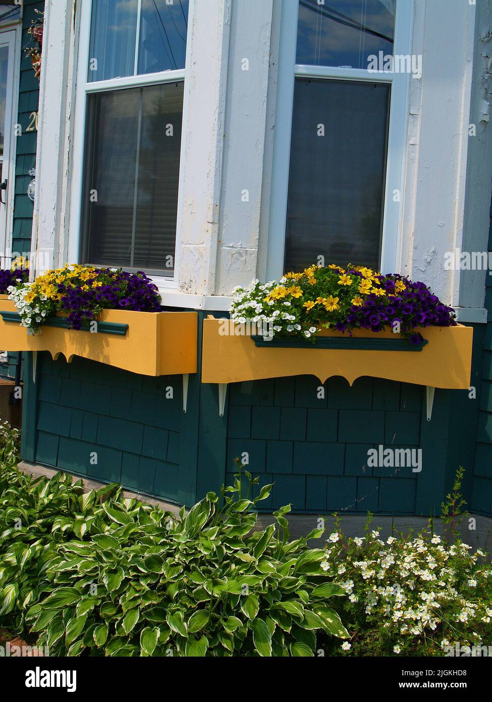 Colorful flower boxes, Charlottetown, colour, color, colourful, flower box, window, box, boxes ...