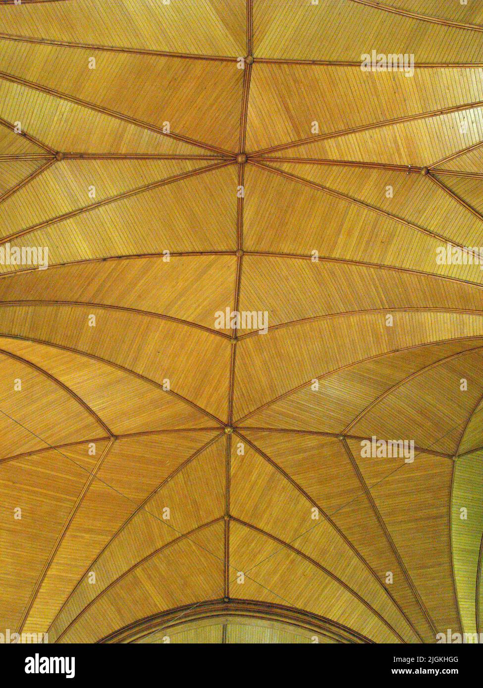Interior ceiling rib vaulting, Historic St.Mary's Church, Indian River ...