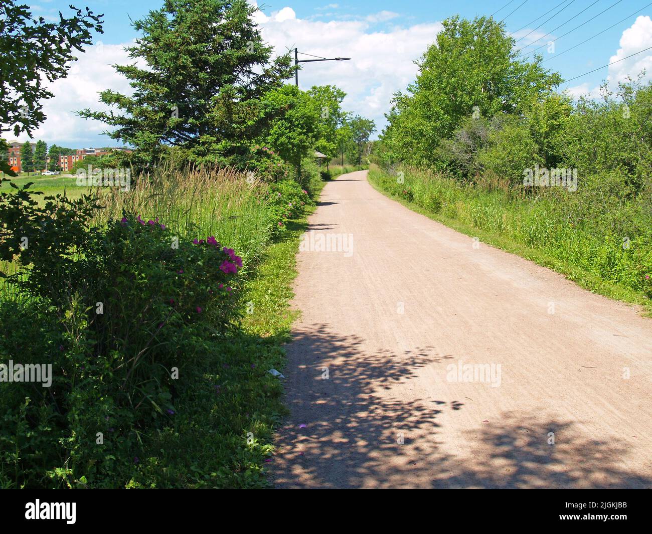 Confederation Trail from Charlottetown, PEI Stock Photo - Alamy