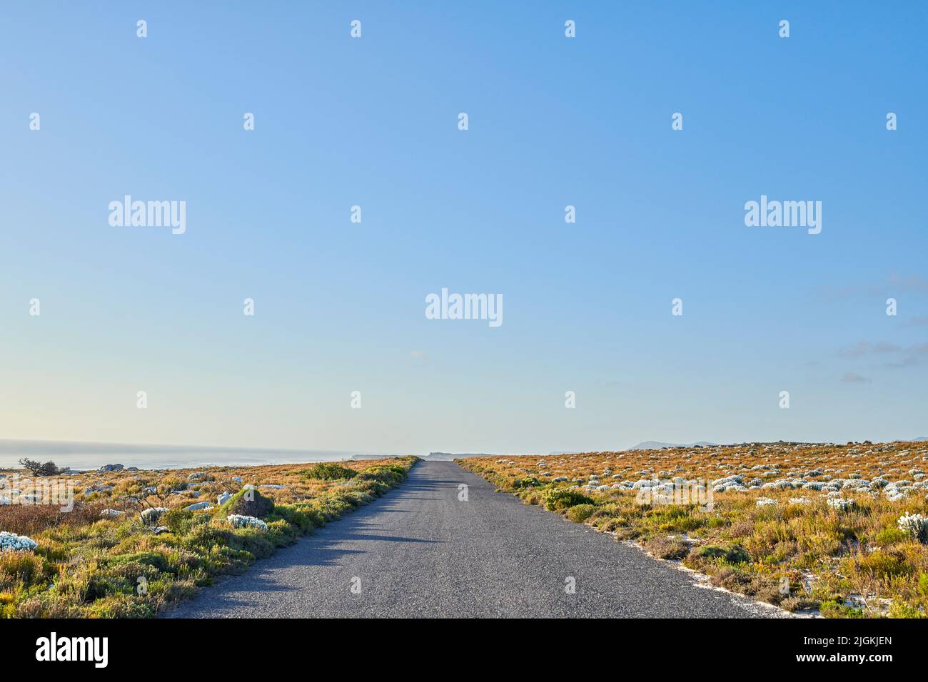 The wilderness of Cape Point National Park. The wilderness of Cape ...