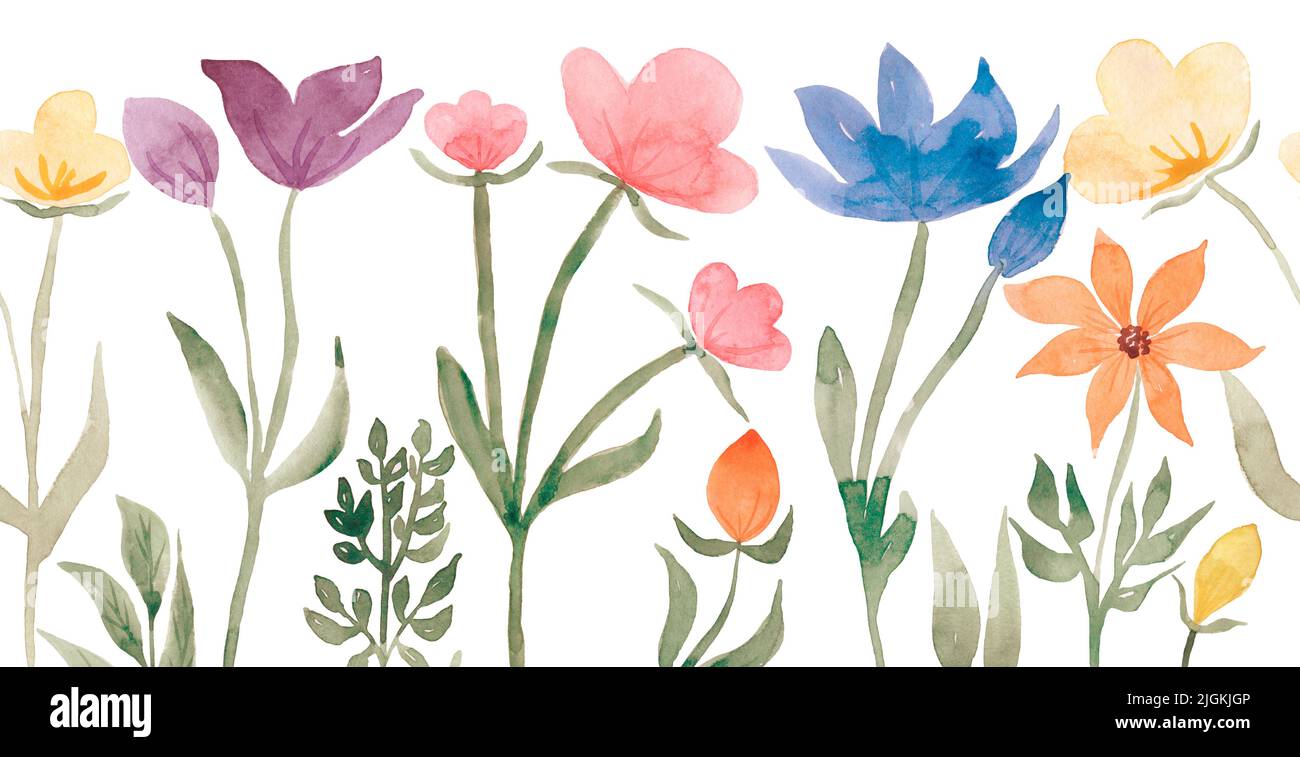 Wildflowers seamless border Clipart, Watercolor Meadow Flowers frame ...