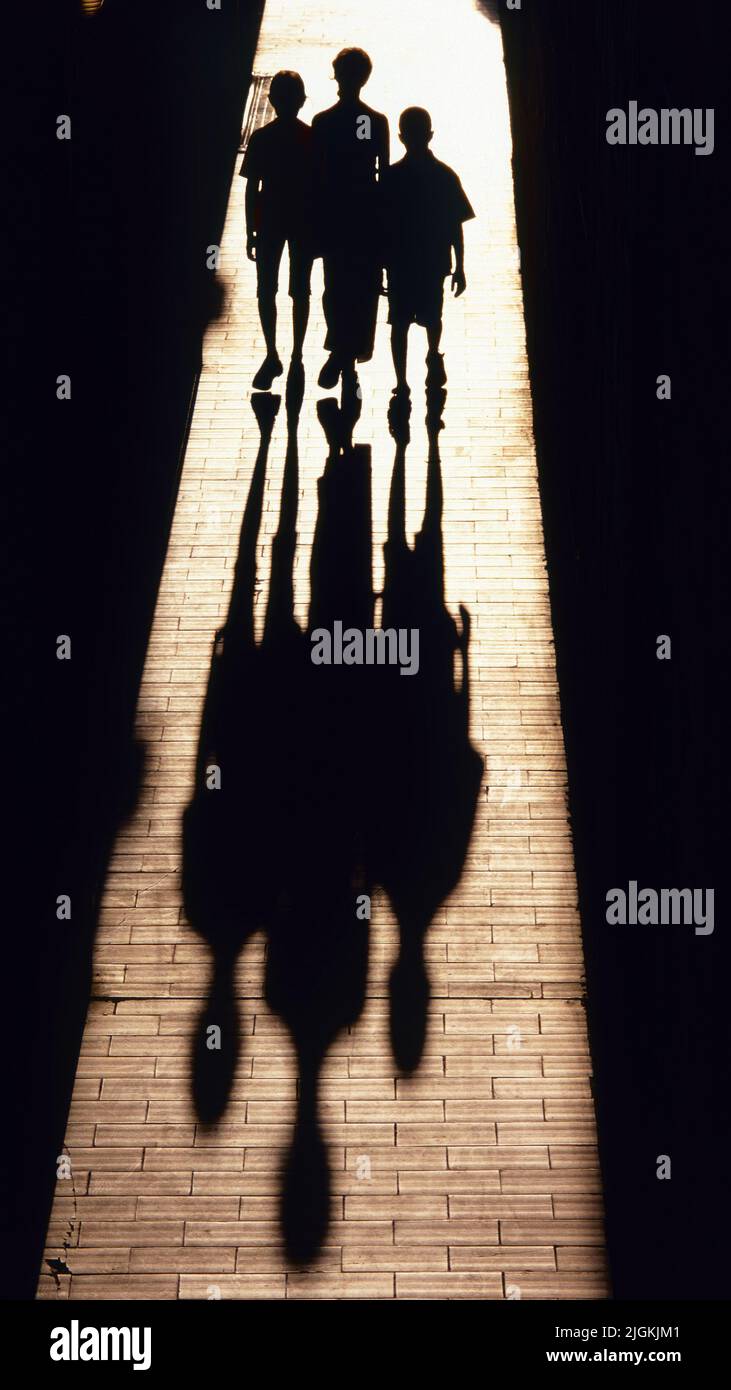 elongated shadows of three children bathed in the light of a sunset ...