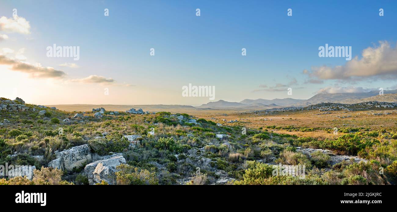 The wilderness of Cape Point National Park. The wilderness of Cape ...