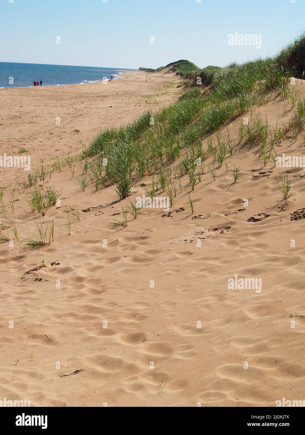 Crowbush beach, Prince Edward Island Stock Photo - Alamy