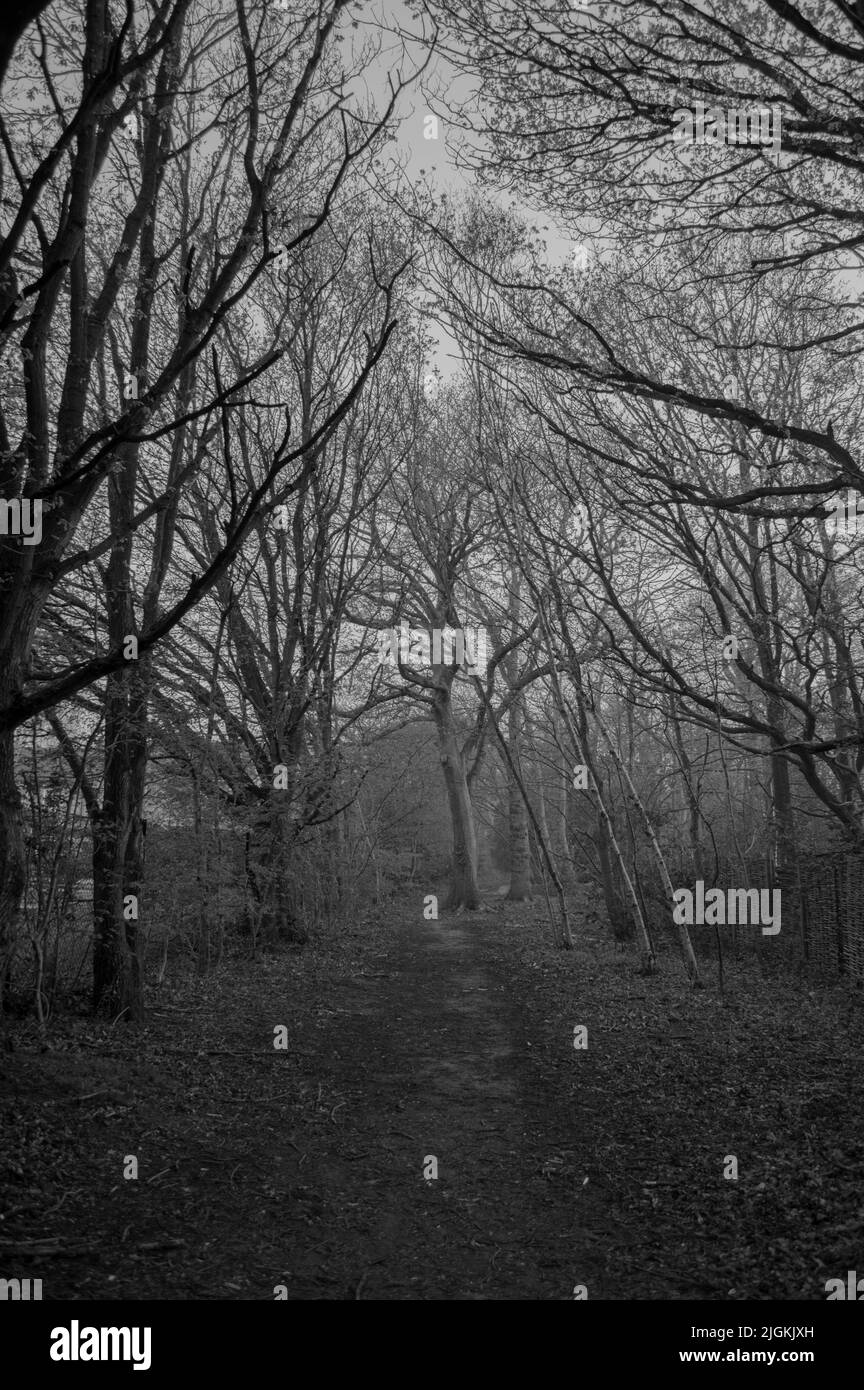 Colchester essex uk Black and White Stock Photos & Images - Alamy