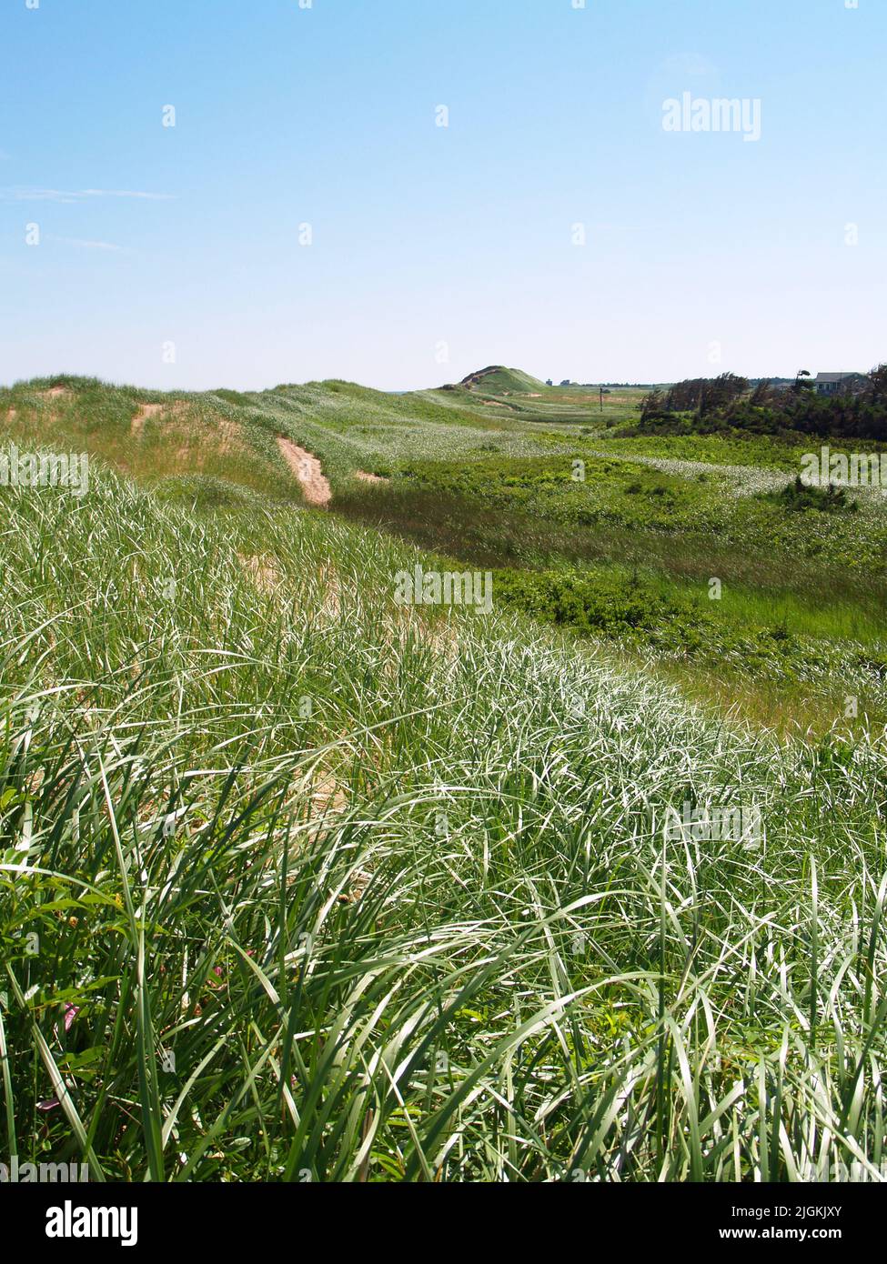 Crowbush beach, Prince Edward Island, dunes Stock Photo - Alamy