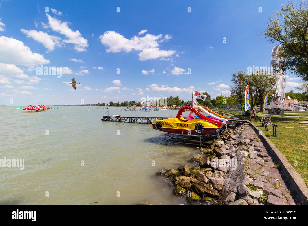 Landscape of coast with pedalos for hire, flying black-headed gull and ...
