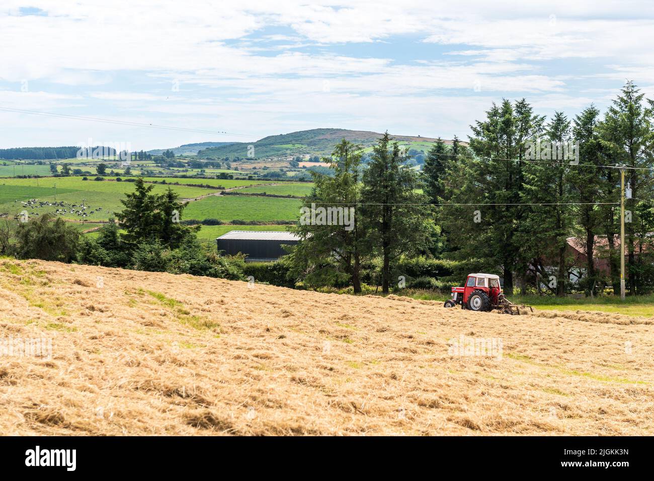 Drinagh, West Cork, Ireland. 11th July, 2022. Beef farmer George Wilson ...