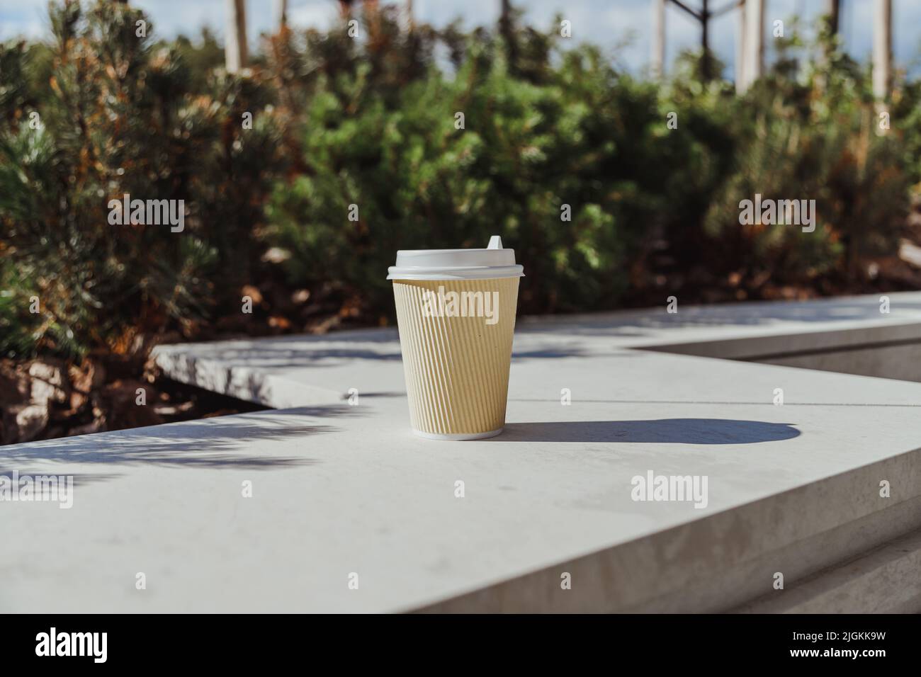 Take-out coffee paper cup on stone bench in business district Stock ...