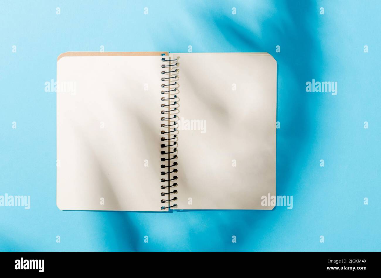 Blank notebook mockup with shadow of leaves on blue background. Elegant ...