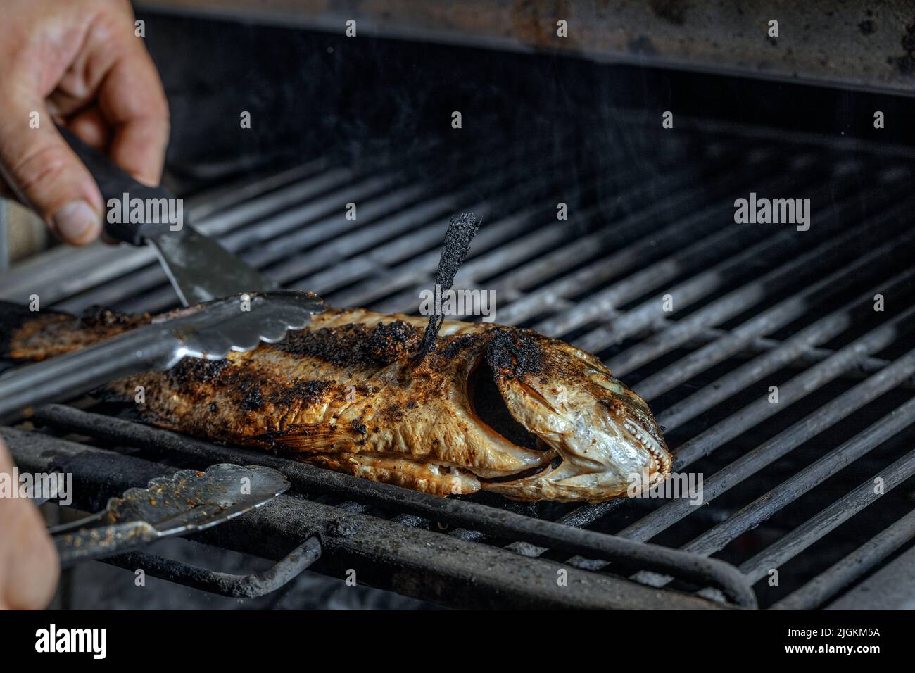 process of grilling whole Sea Bream fish on a barbecue grill over hot ...
