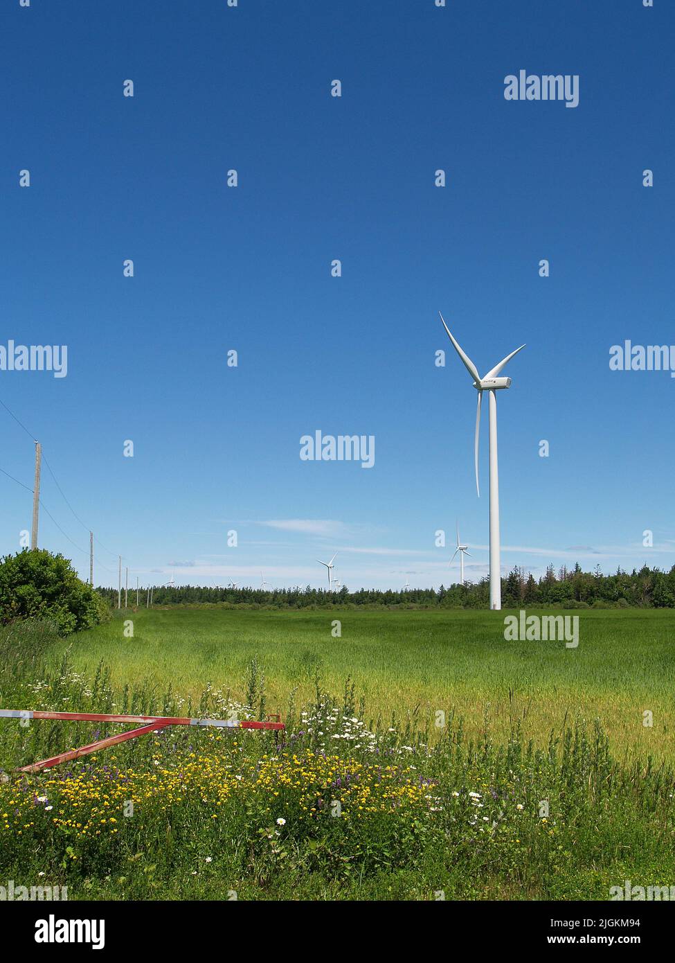 West Cape Wind Park, PEI Stock Photo - Alamy