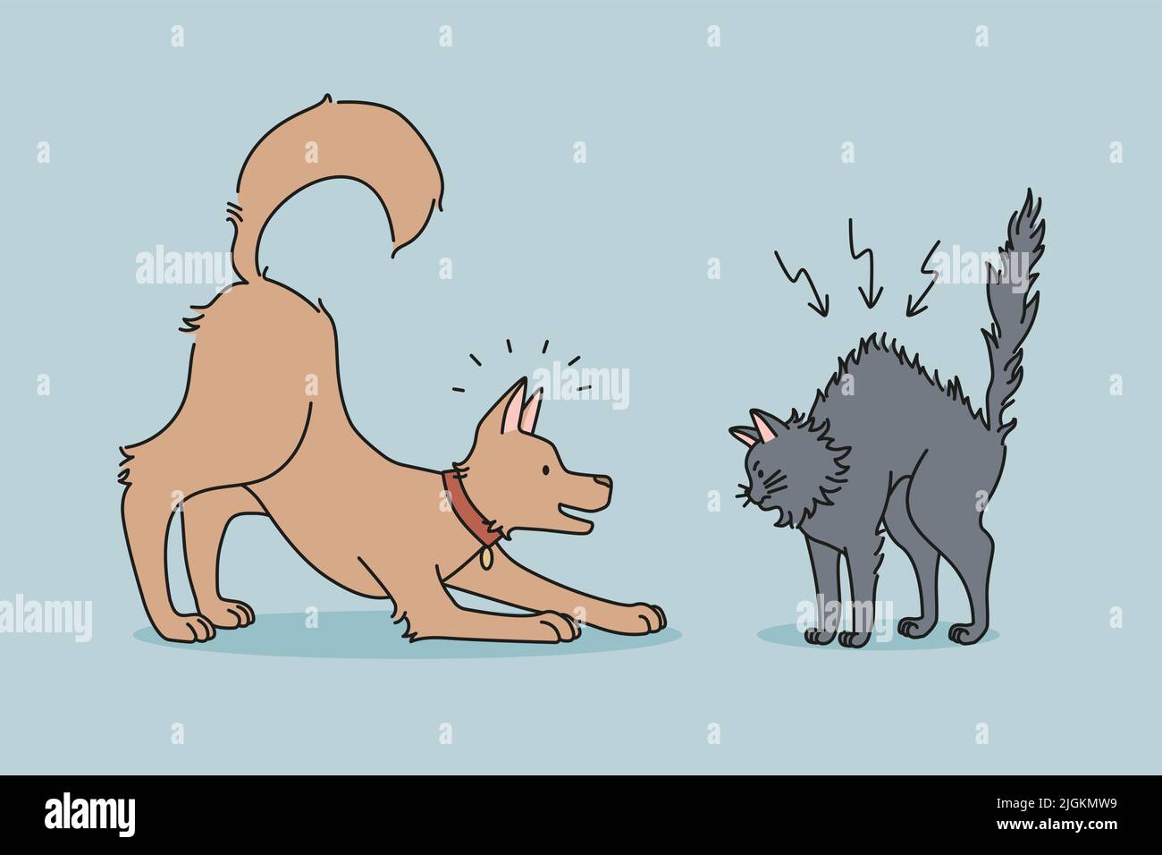 Angry cat and dog fight at home. Playful puppy and mad kitten battle ...