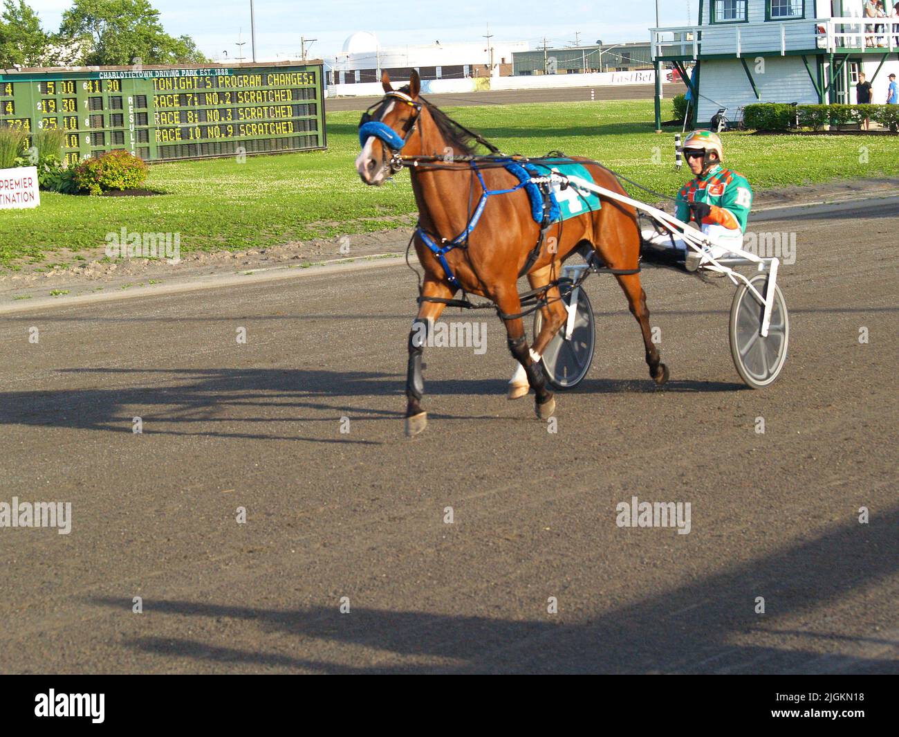 Two wheeled racing cart hi-res stock photography and images - Alamy