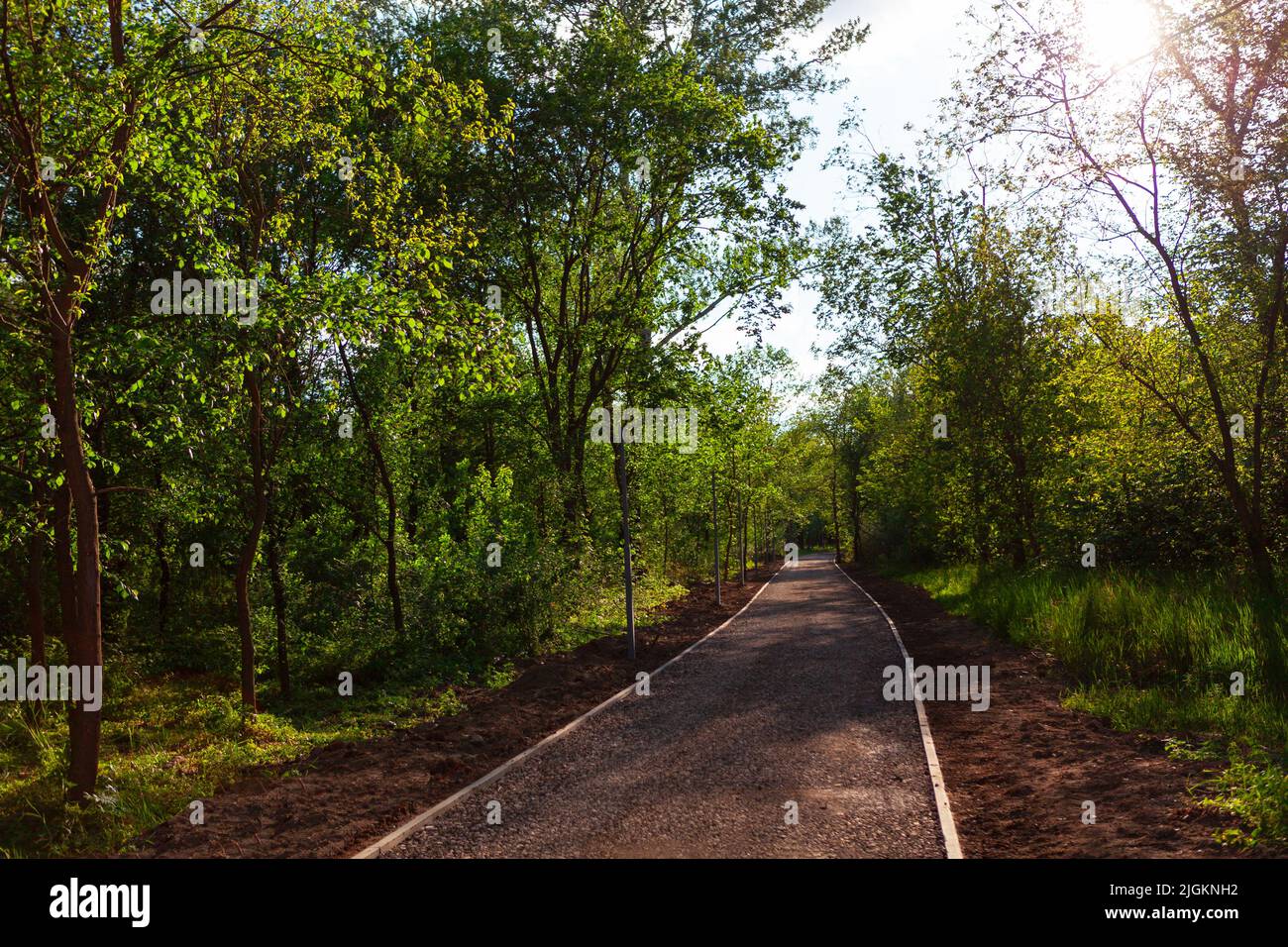 Sidewalk path in the park . Walkway in nature Stock Photo - Alamy