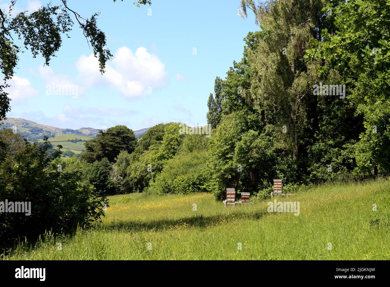 Rural North Wales with Bee Hives in Meadow Stock Photo - Alamy